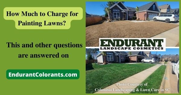 How Much Should I Charge For Lawn Painting Endurant Colorants